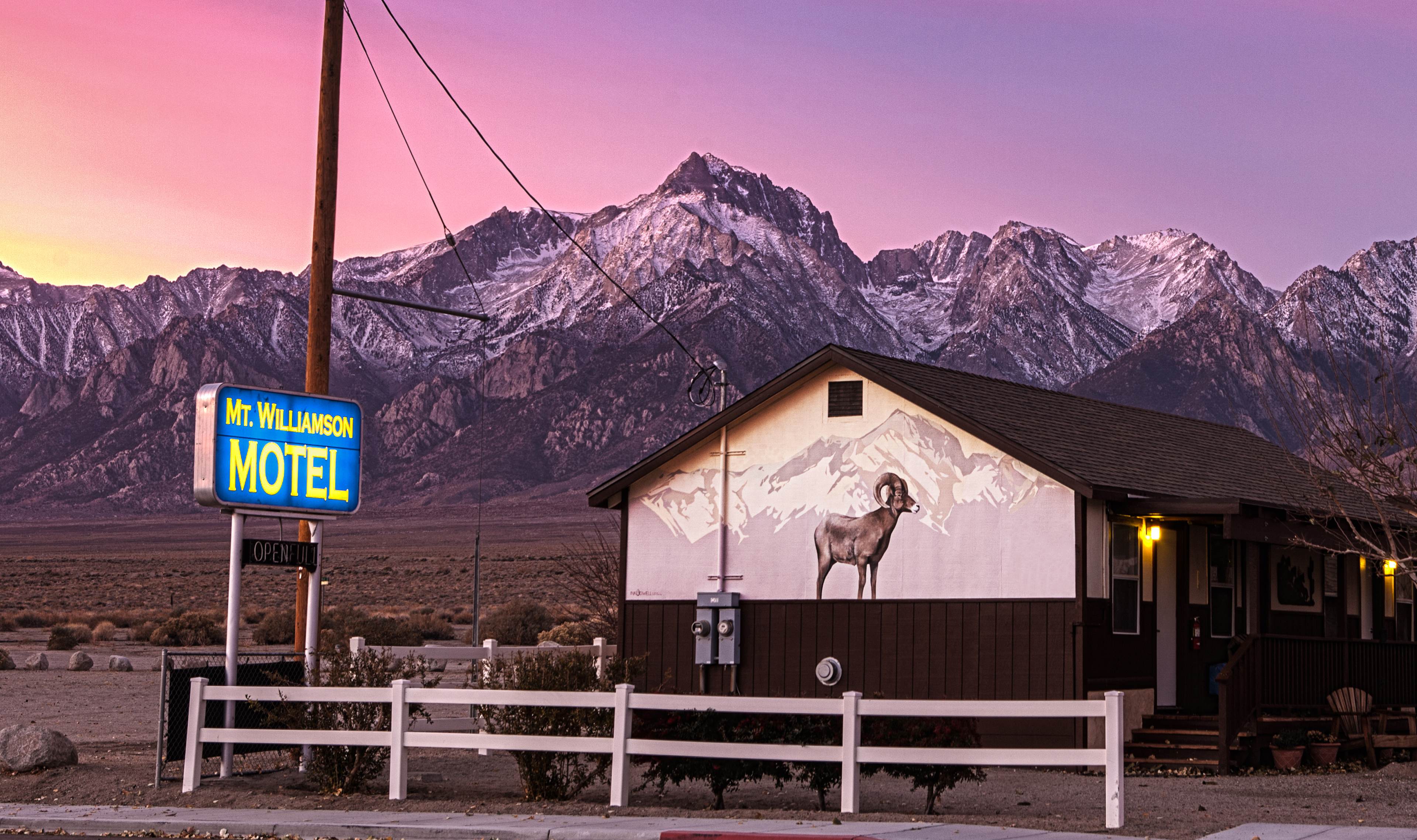 Jane Kim Uses Art to Help Our Planet | Featured | San Francisco Bay ...